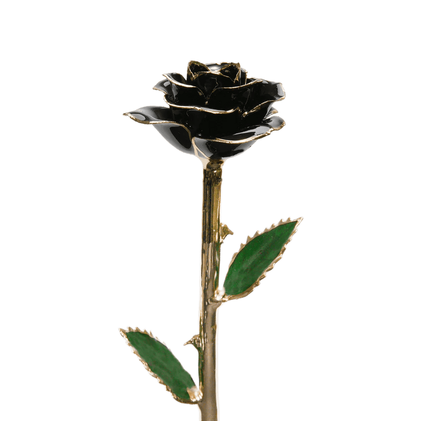 24k Gold Dipped Rose™ | The Perfect Gift For Her – Sparkly Roses