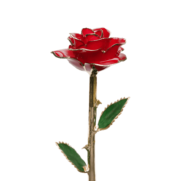 24k Gold Dipped Rose™ | The Perfect Gift For Her – Sparkly Roses